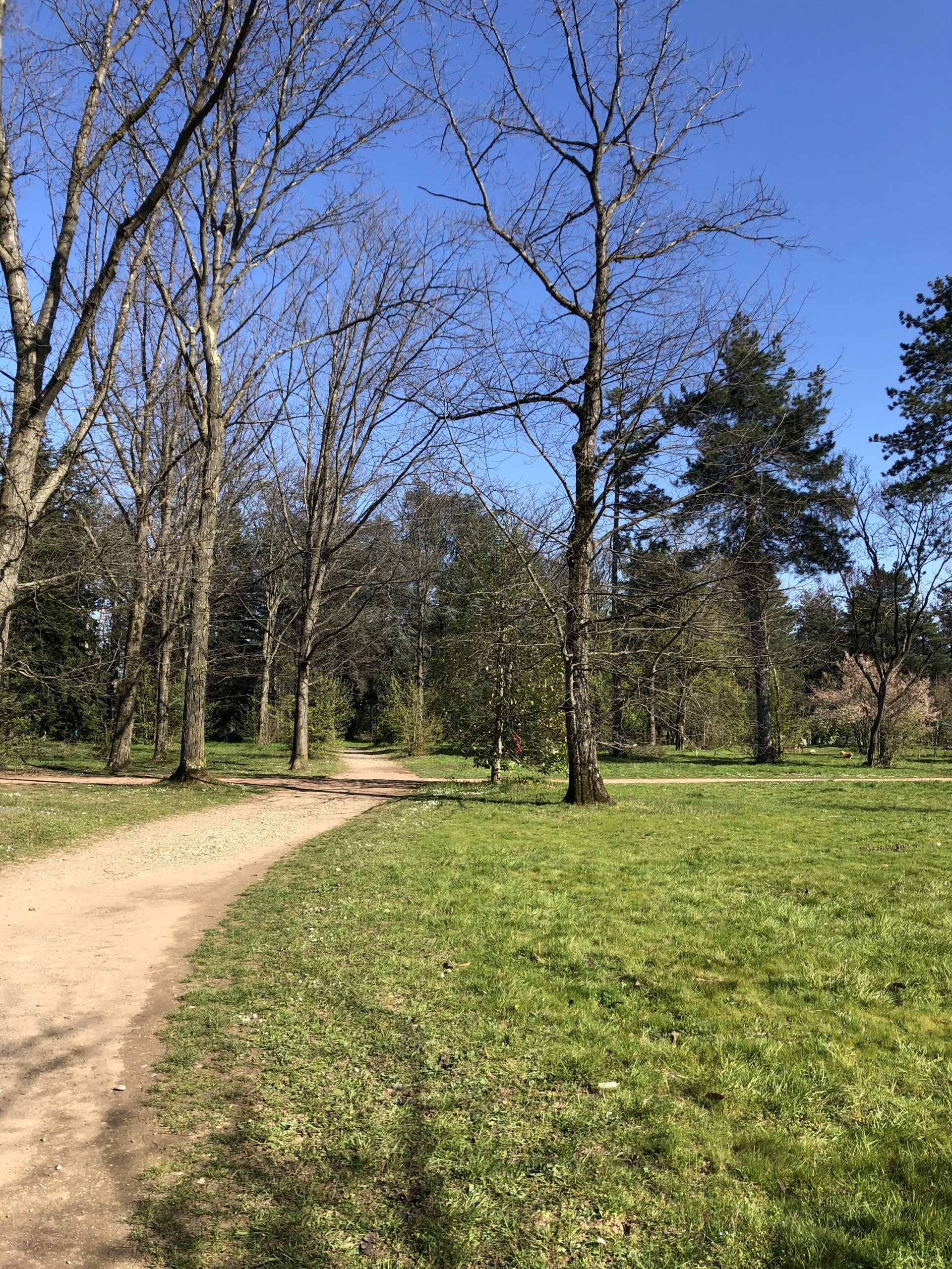 Parc de Parilly - balade à moins d'une heure de Lyon - Cinnamon and Cake